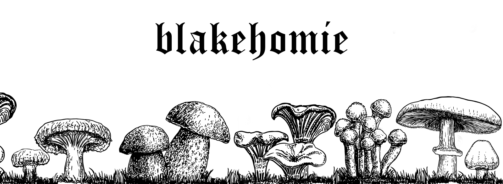 BlakeHomie – MerchLabs