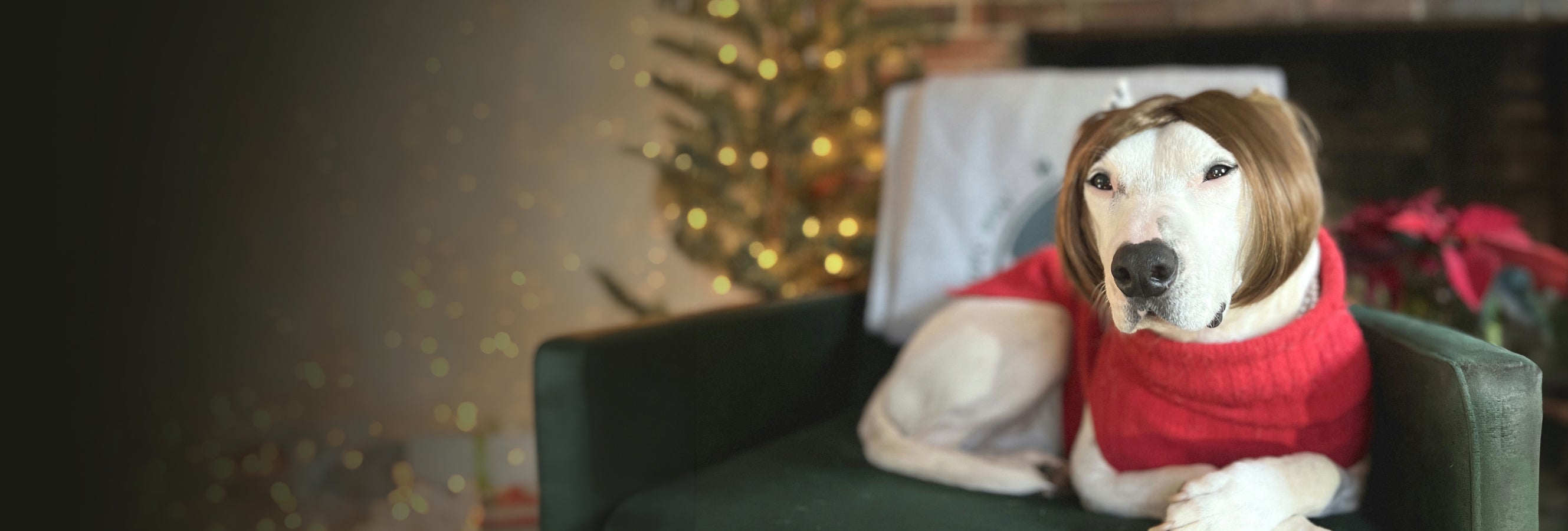 MisterMainer – MerchLabs